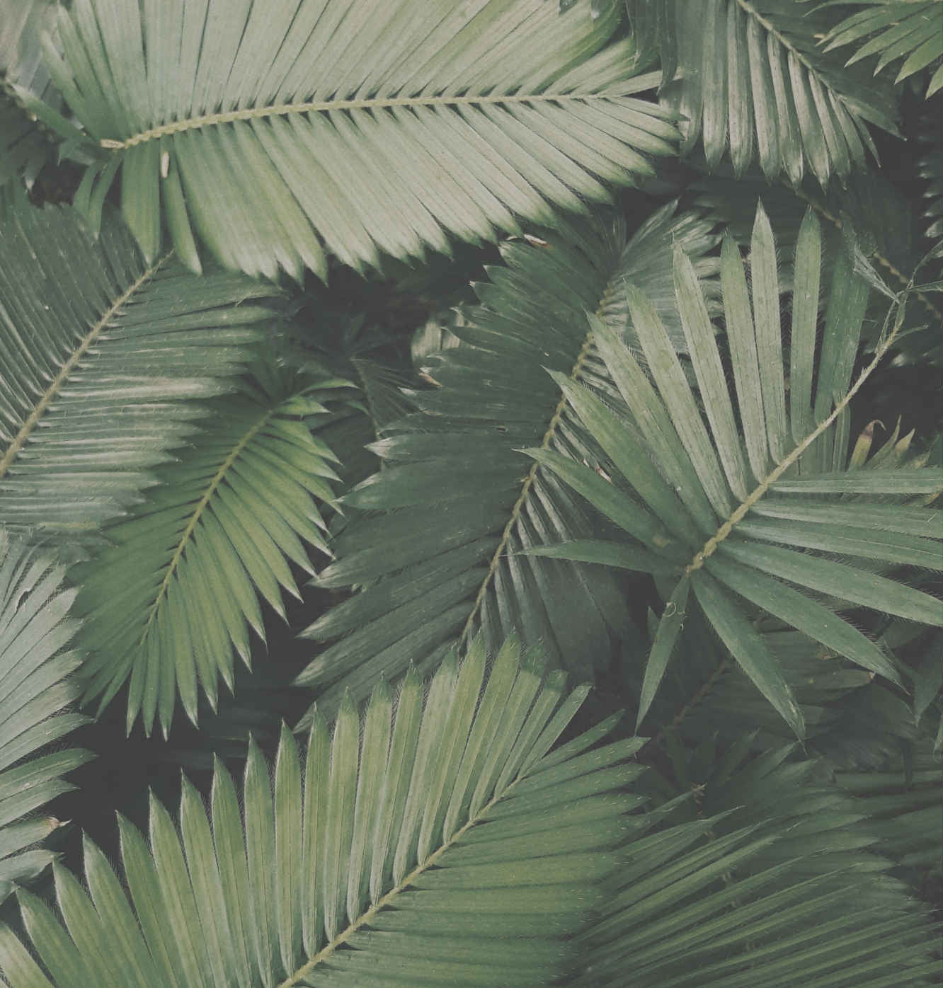 Massotherapy / Massage Therapy / Massage West Island – West Spa Médical